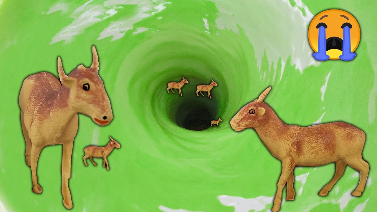 Experiment Whirlpool Hole Vs Goat | experiment whirlpool Hole ...