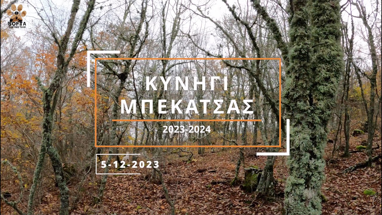 ΚΥΝΗΓΙ ΜΠΕΚΑΤΣΑΣ 5/12/2023 / Woodcock Hunting / Caccia alla Beccaccia ...