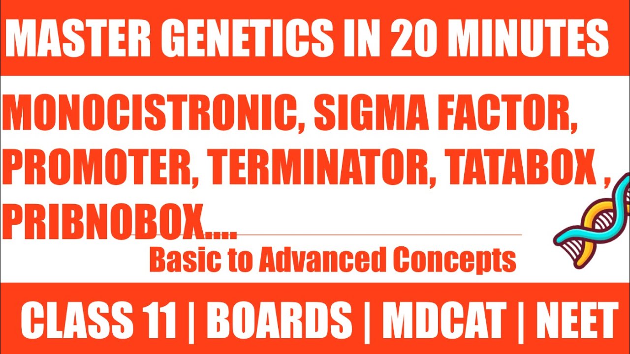 MASTER GENETICS IN 20 MINUTES - PART # 2 | CORE CONCEPTS | CLASS 11,12 ...