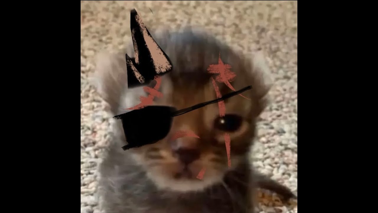 Venom Snake saves his cat ( secret side op ) - MGSV Meme - YouTube