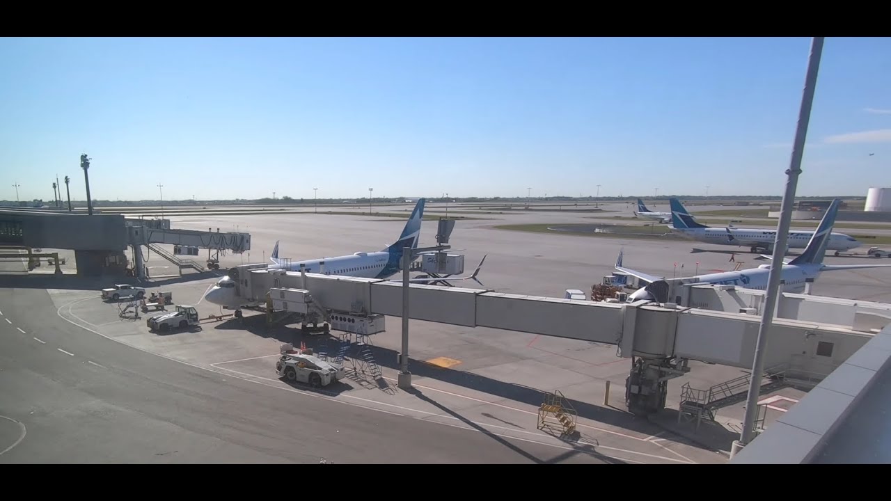 Westjet Flight Experience | Calgary - Phoenix | Boeing 737-800 - YouTube