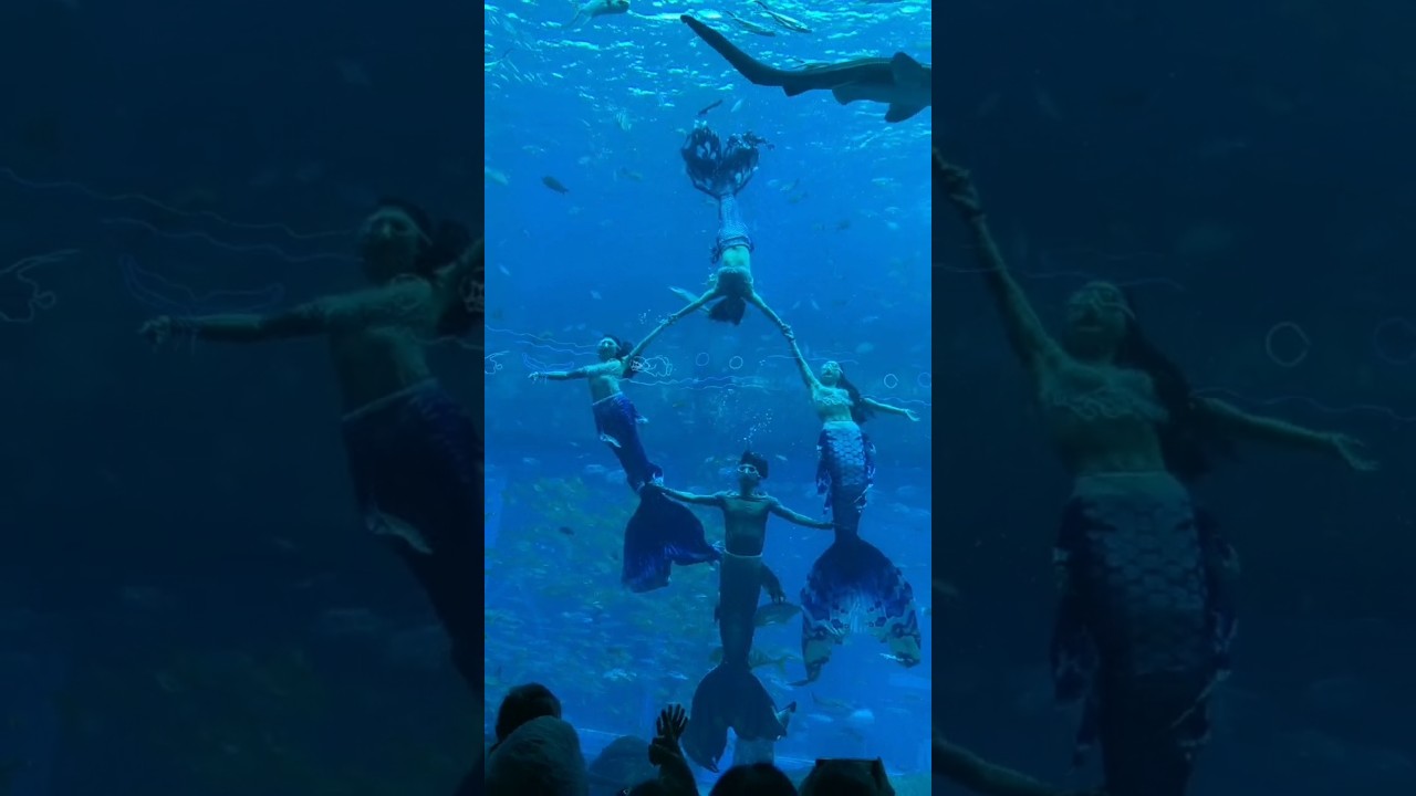 Atlantis Mermaid Show 2025. 随走随拍，走哪儿拍哪儿🎉 - YouTube