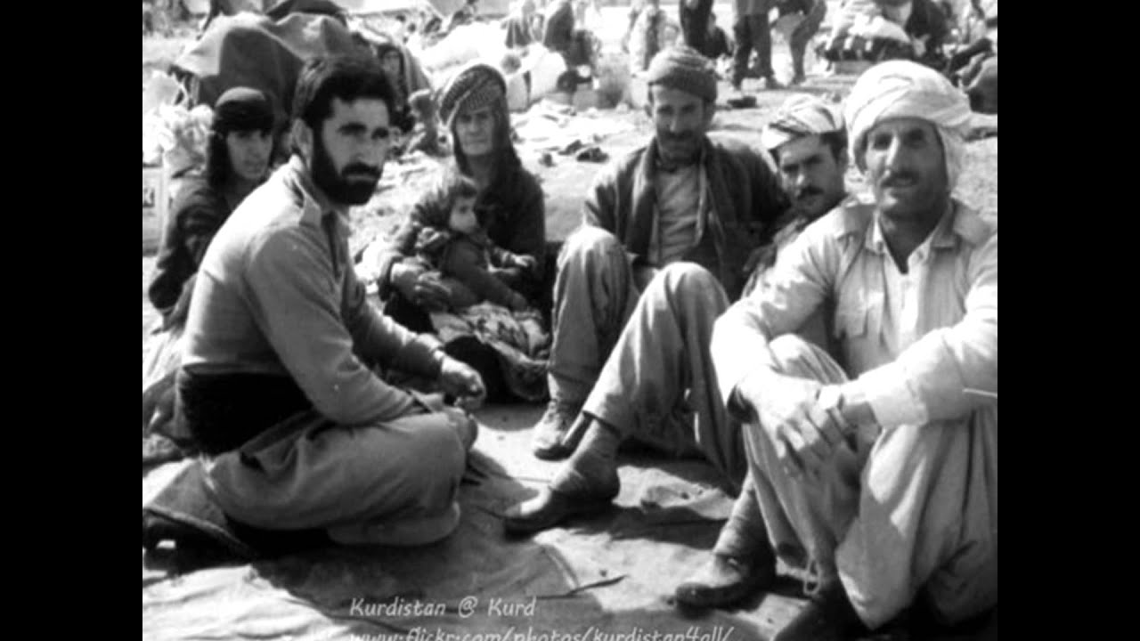 Witt Anthropology Al-Anfal Campaign - YouTube
