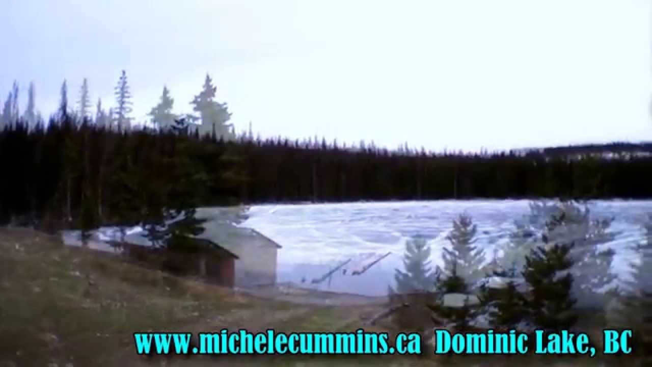 Dominic Lake Resort for SALE - YouTube