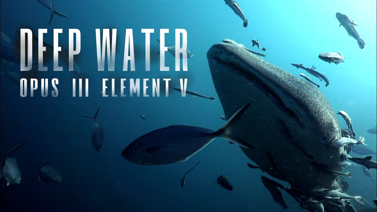 DEEP WATER 3/5 Underwater Music, Short Relaxation Dive, Ambient Piano ...