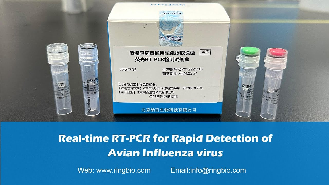 Real-time RT-PCR for Rapid Detection of Avian Influenza Virus - YouTube