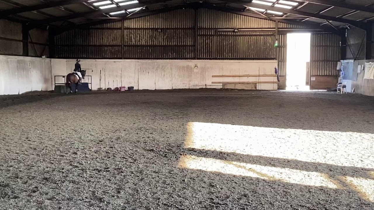 Mac doing the Prelim 13 dressage test - YouTube