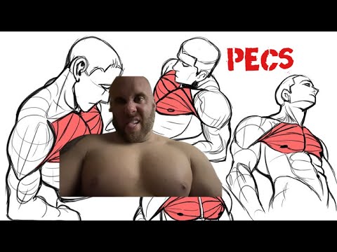 Virtual pec bounce challenge! Episode 3 - YouTube