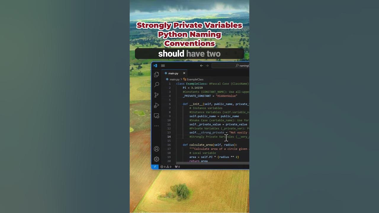 Strongly Private Variables Python Variable Naming Conventions #softwaredevelopement # ...