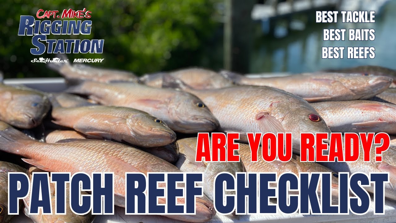Florida Keys patch reefs checklist | patch reefs | how to patch reef ...