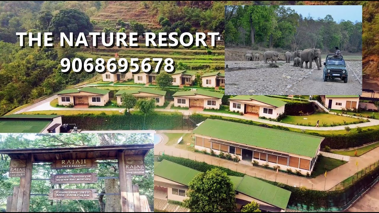 The Nature Resort chilla Road (Rishikesh Haridwar) - YouTube