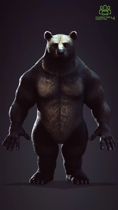 CC4 - CWS Bear - Full Character (Morph, Texture & Tail) #charactercreator #characterdesign #3d ...