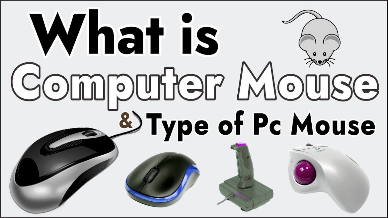 What Is Computer Mouse Full Explanation Type Of Computer Mouse YouTube