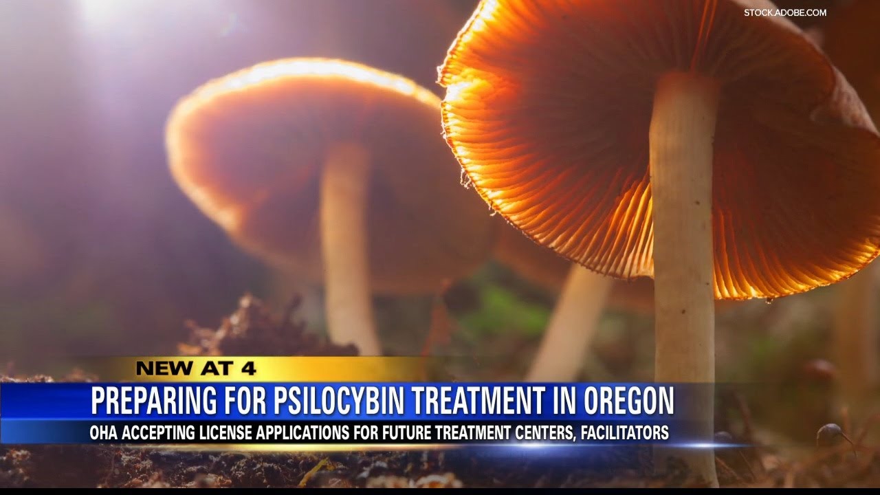 Preparing for psilocybin treatment in Oregon - YouTube
