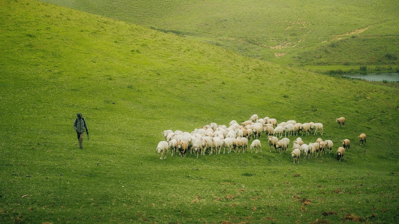 ATHA (com voz) - YouTube