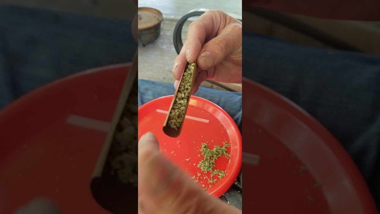 Rolling the Perfect Blunt - YouTube