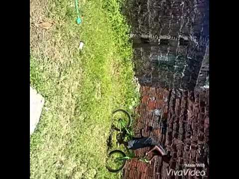 MC brinquedo - balança o bundão clipe (ERICKDoVine)