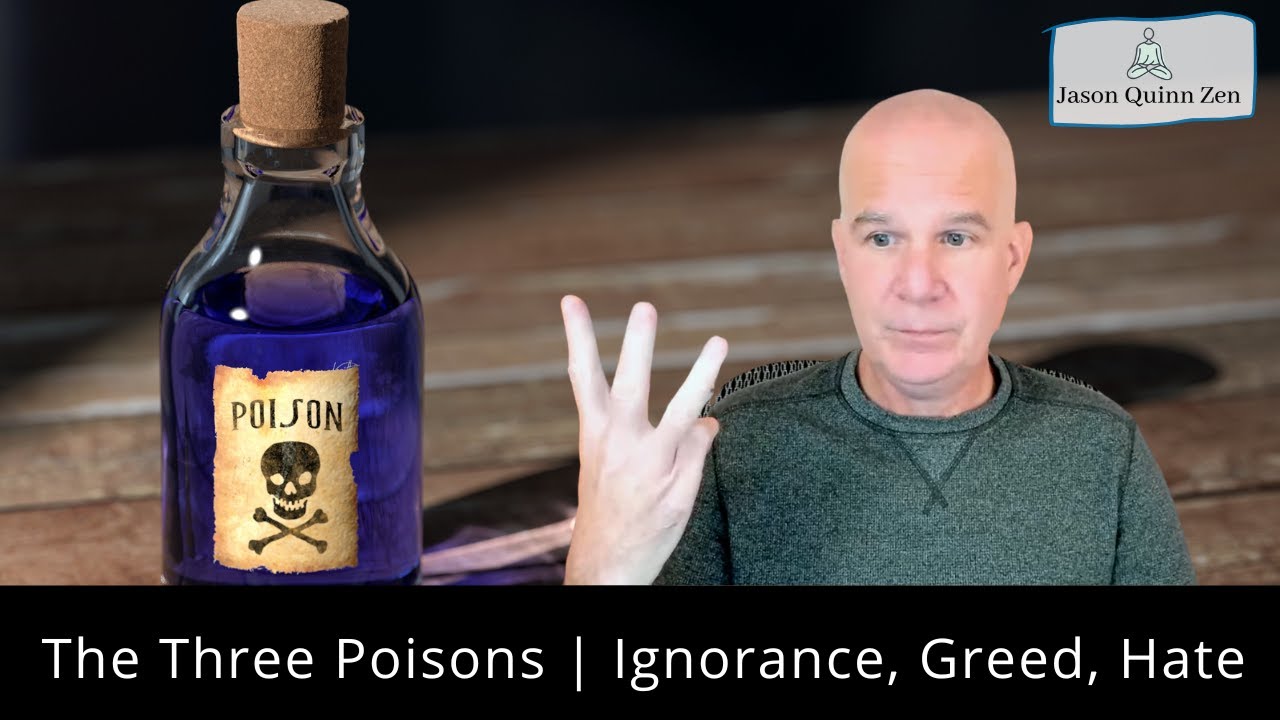 The Three Poisons | Ignorance, Greed, Hate - YouTube