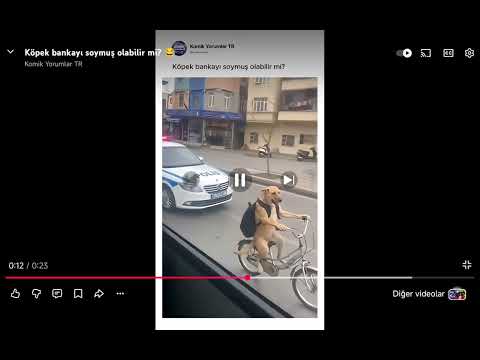 Çok korktum😲😲😲