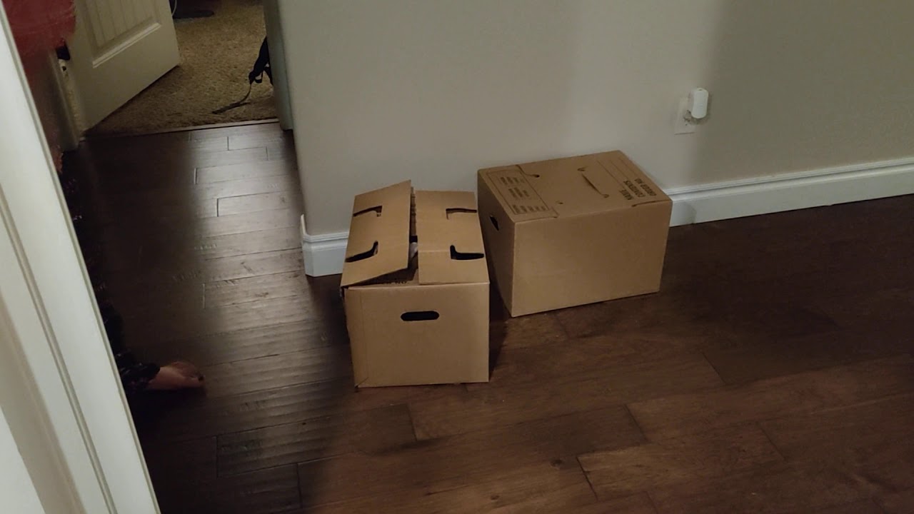 Testing Our Brand New Anti-Porch-Pirate Device. Stop porch pirates from ...