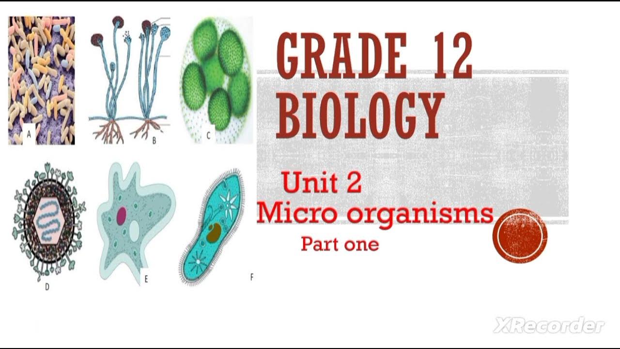 #Biology Grade 12 New curriculum# Unit 2 #Micro-organism #part one ...