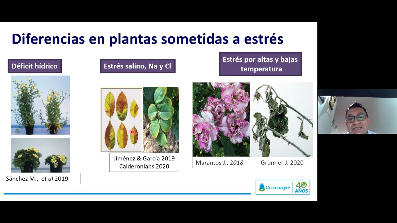 Fisiología Del Estrés De Las Plantas Estrés Abiótico Y Biótico Incidencias Y Mecanismos De