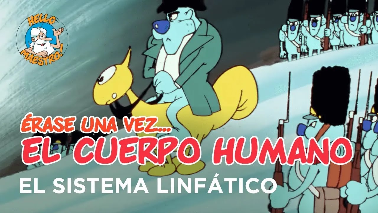 Erase Una Vez... El Cuerpo Humano - El sistema linfático - YouTube