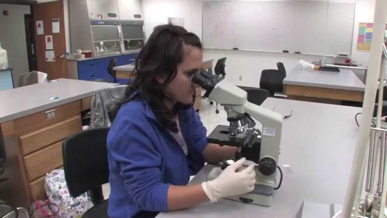 Medical Lab Technician At Central Community College YouTube medical-lab-technician-at-central-community-college-youtube