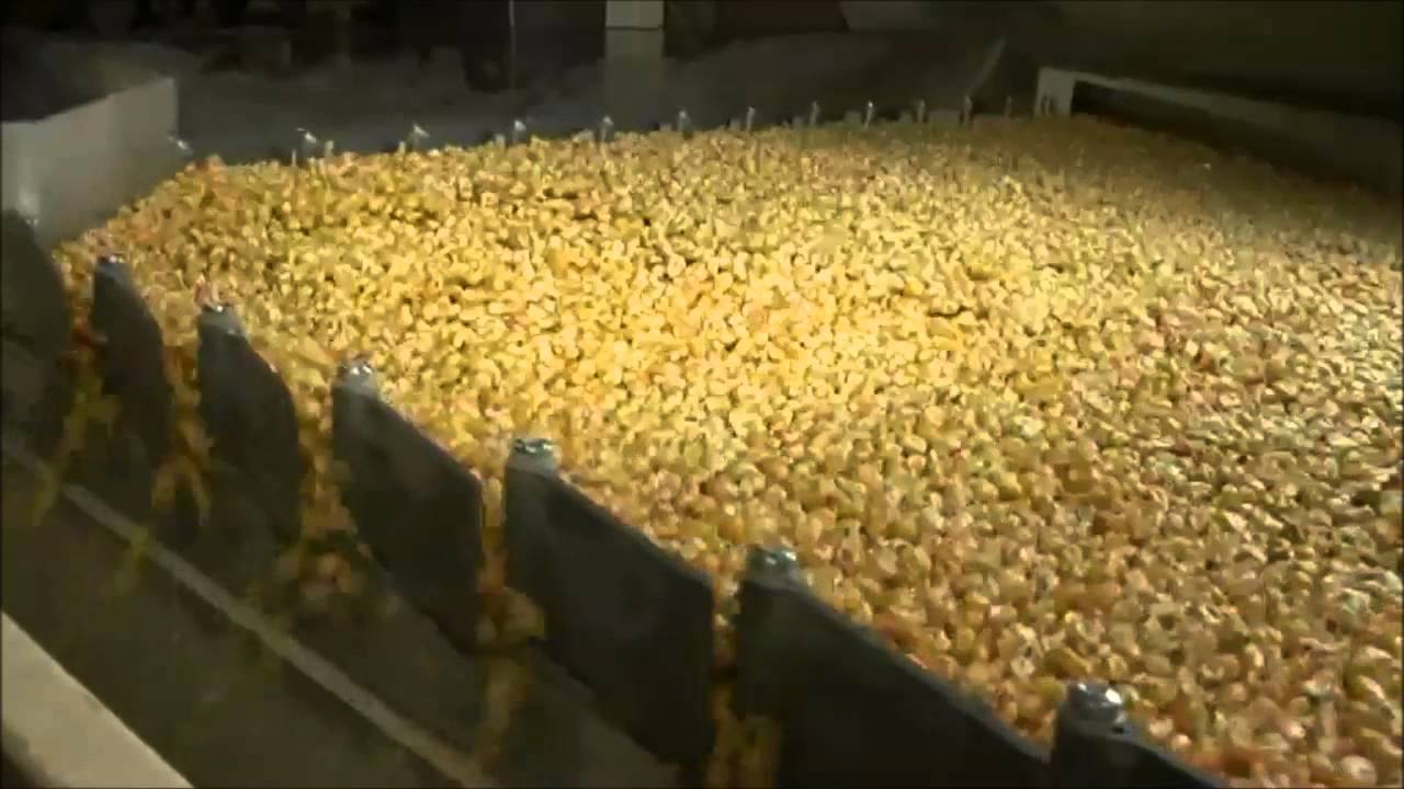 Cimbria Heid Separare Gravimetrica - YouTube
