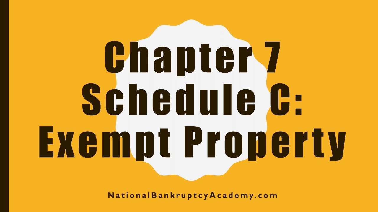 Chapter 7 Schedule C Preview, Official Bankruptcy Form 106C - YouTube