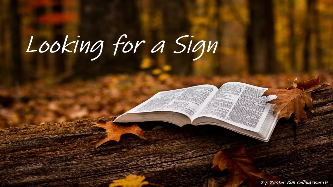 Looking for a Sign - YouTube