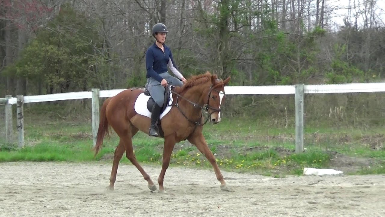 Racey Grace first jumping 4 7 20 - YouTube