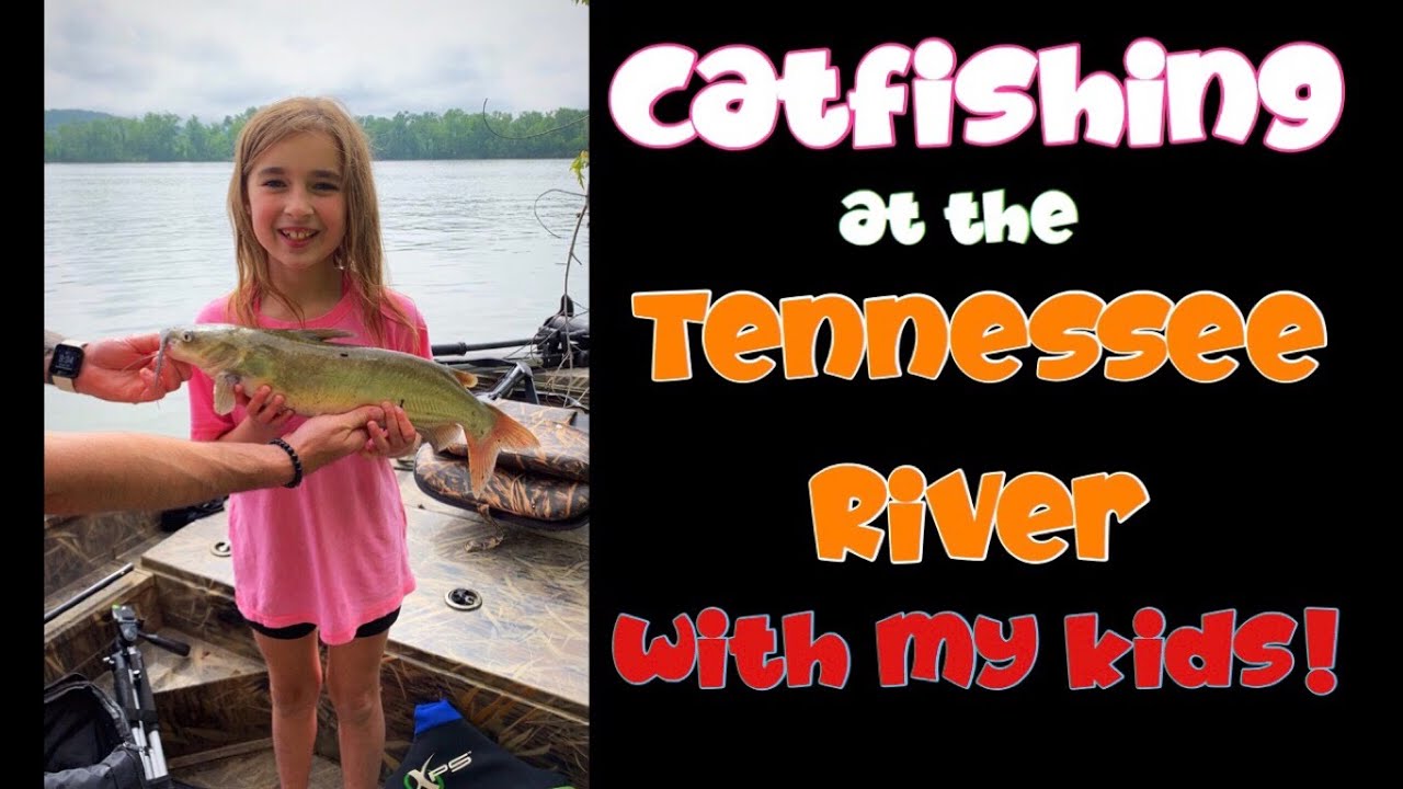 Catfishing with my kids at the Tennessee River - YouTube