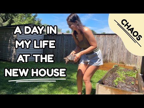 A CRAZY DAY IN MY LIFE!!