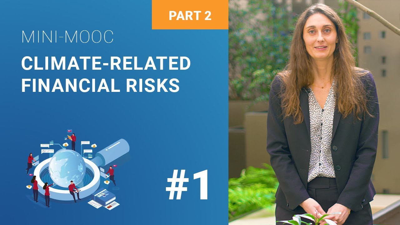 Mini-MOOC "Financial Climate Risks" 2.1 / Macroeconomic analysis of climate risks. - YouTube