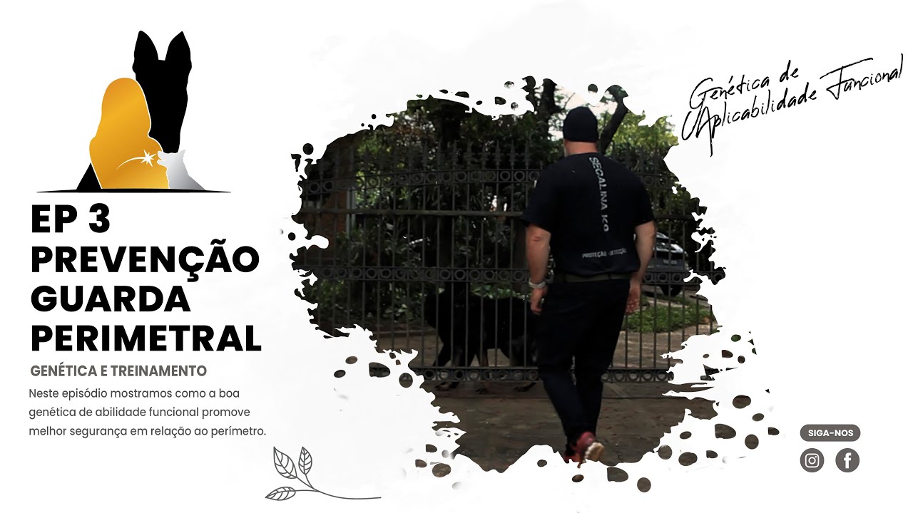 EP 3 - PREVENÇÃO GUARDA PERIMETRAL - YouTube