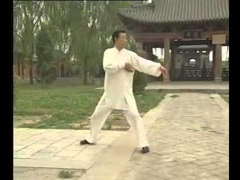 Taiji Style Chen : Laojia (Yi Lu) executée par Wang Xian - YouTube