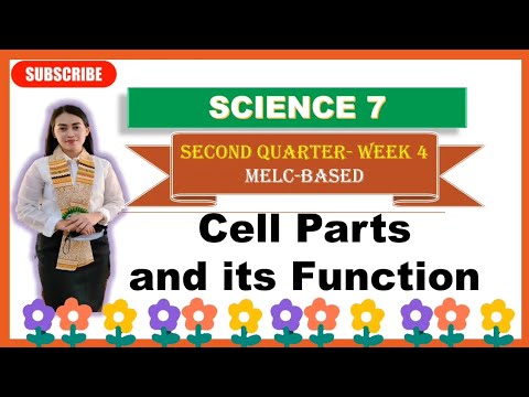 SCIENCE 7: Quarter 2- Week 4: CELL PARTS AND ITS FUNCTION - YouTube