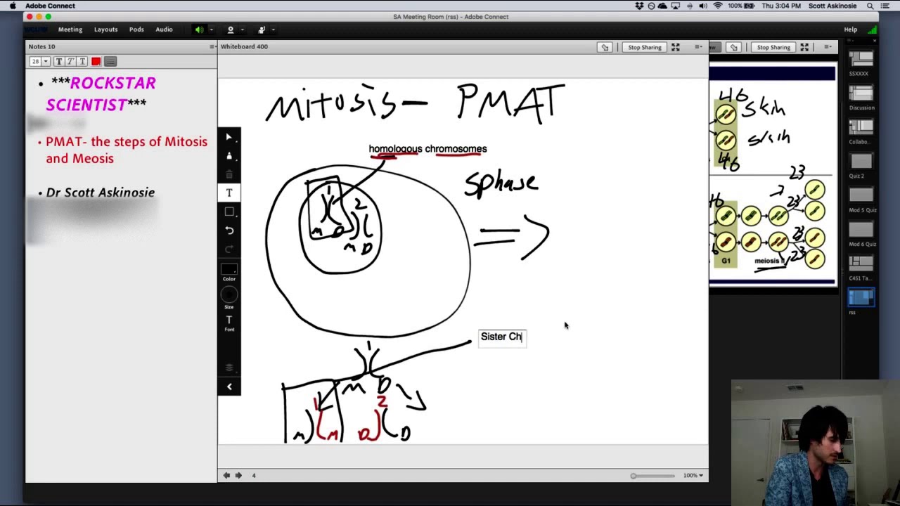 Biology 2- PMAT:The Steps of Mitosis and Meiosis - YouTube