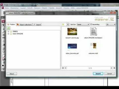 celum IMAGINE for Creative - YouTube