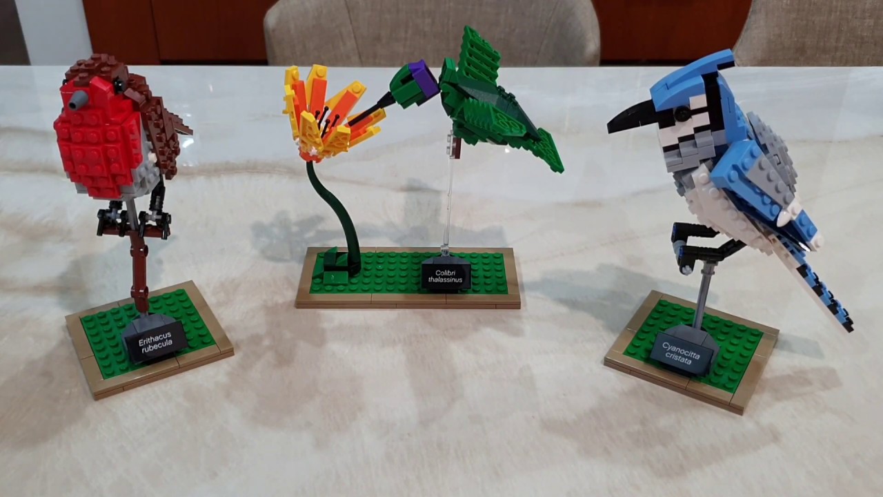 LEGO Ideas Birds 21301 Speed Build - YouTube