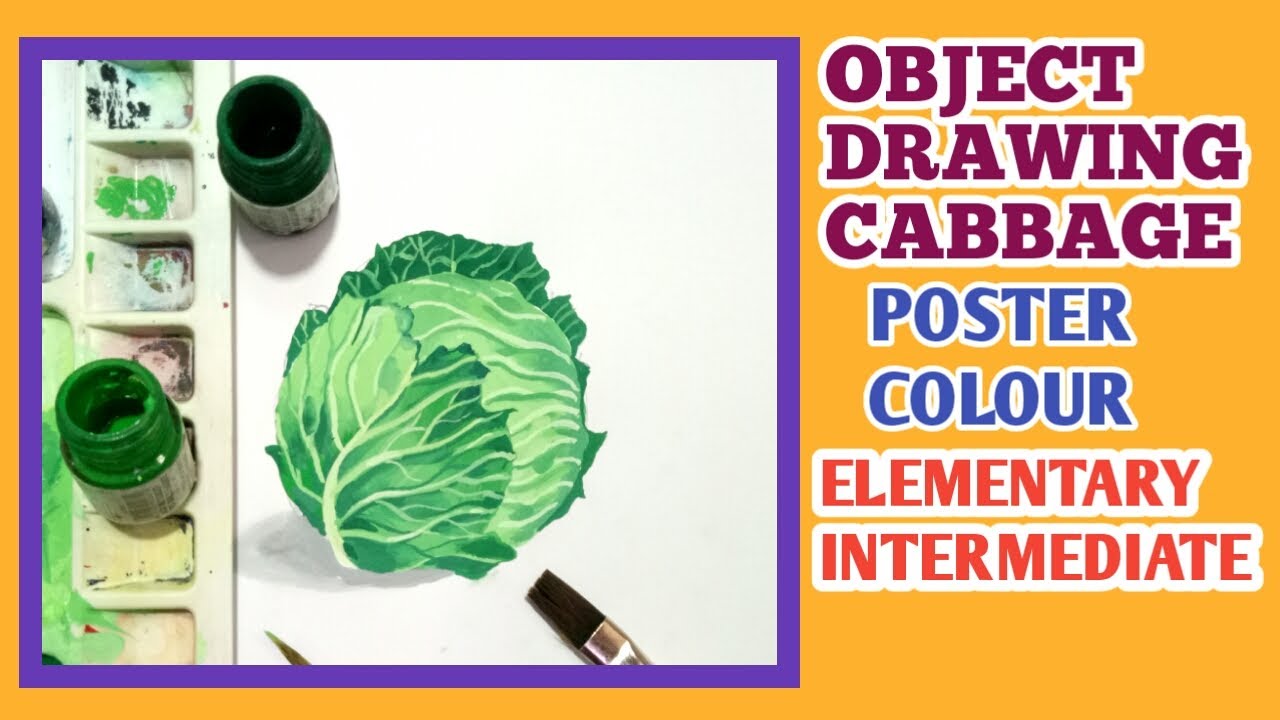 Object Drawing Cabbage for Elementary Intermediate Exam. - YouTube
