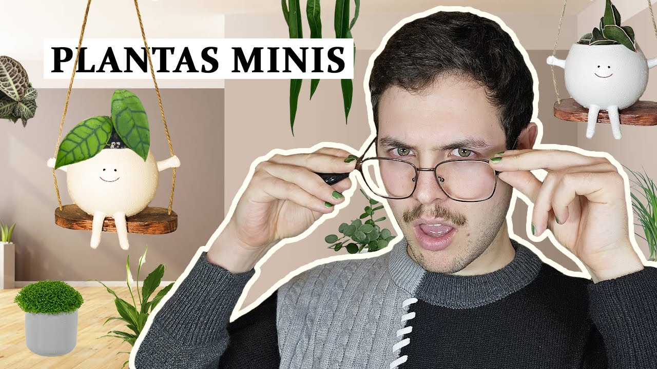TOP 8 plantas minis - 2025 - YouTube