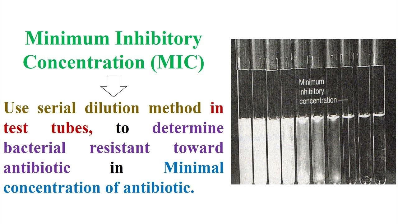 Minimum Inhibitory Concentration MIC for Antibiotic Sensitivity Test ...