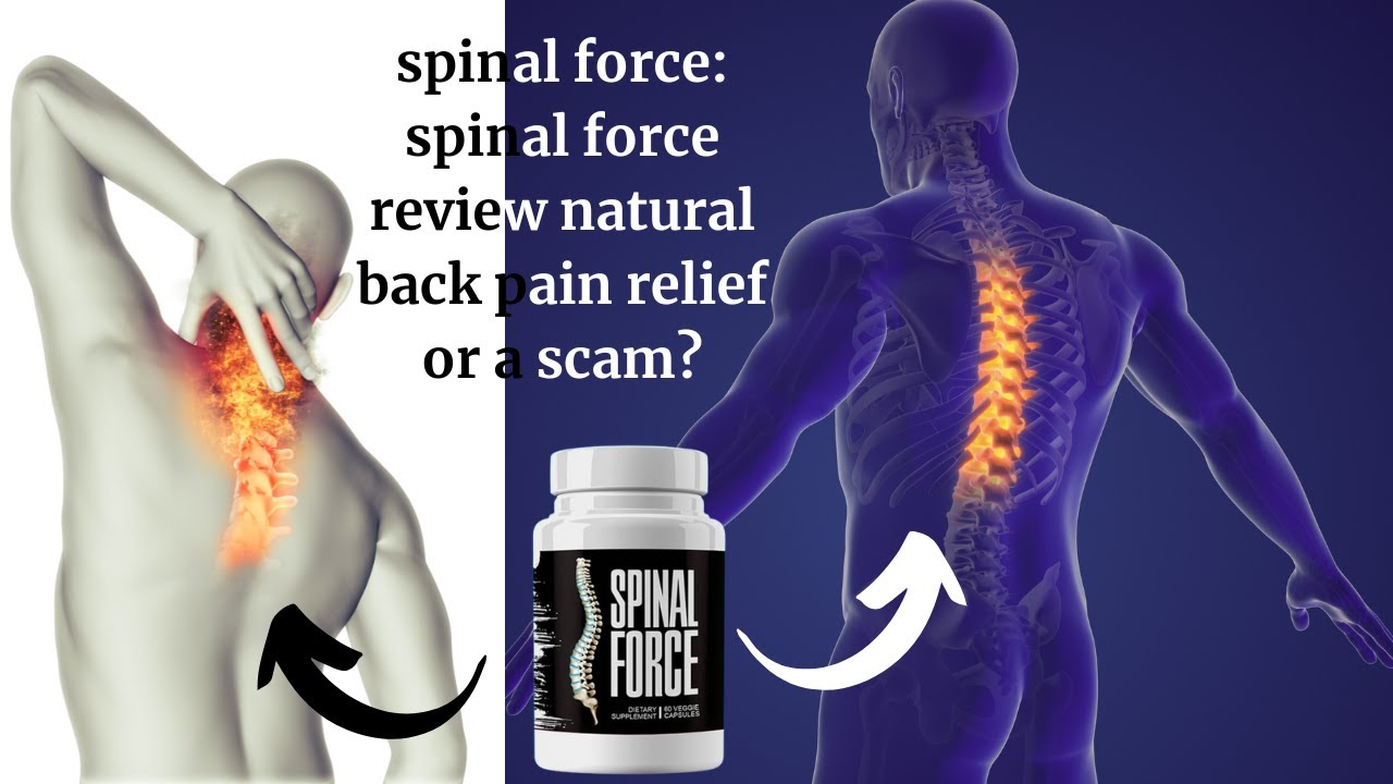 Spinal Force Review - Spinal Force 2024 - Spinal Force - Spinal Force ...