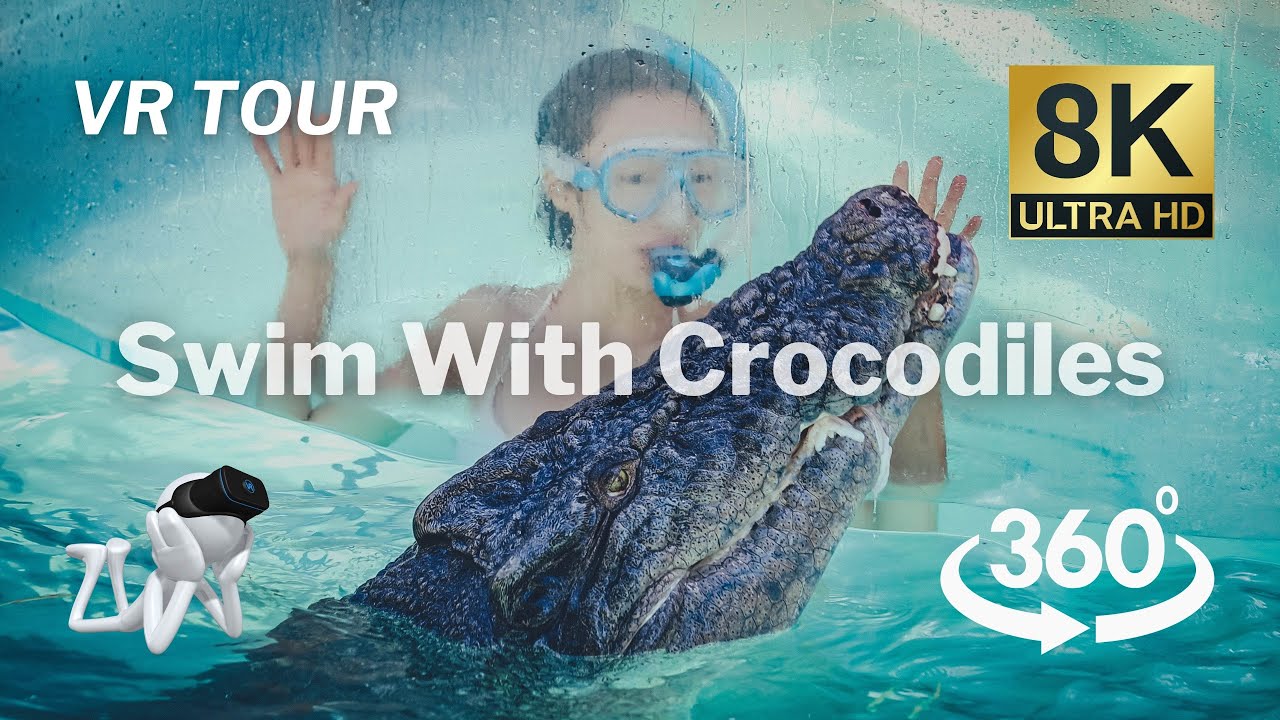【360°VR】SWIM with CROCODILE - Virtual Nature Relaxation 8K Video - YouTube