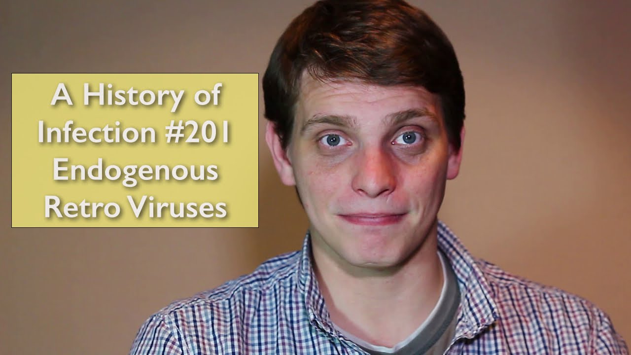 The Ancient viruses within all of us - A History of Infection 20 - YouTube
