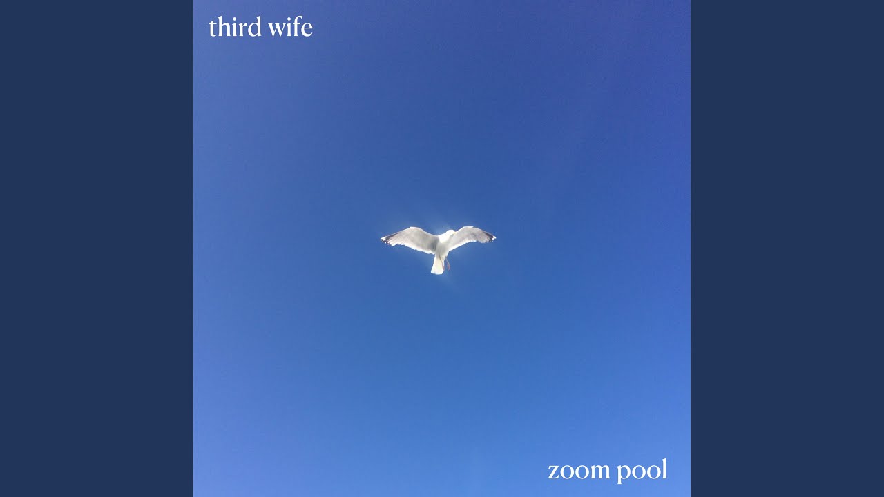 Zoom Pool - YouTube