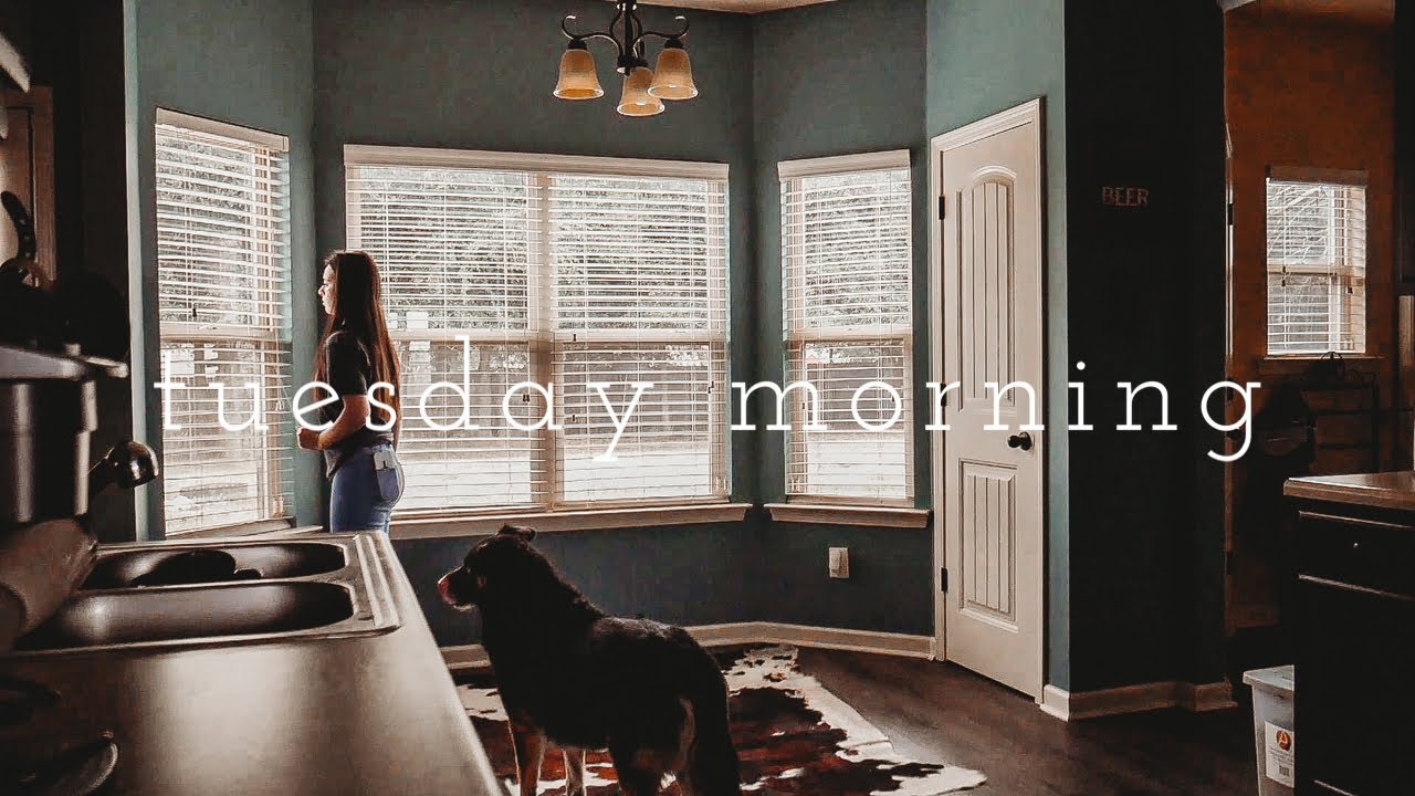 tuesday morning | unfiltered glimpse into my morning | Natalie Suzanne Sowder - YouTube