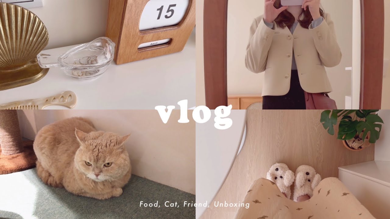 【vlog】🍕☕️🦞🥣 Tino's Pizza｜Fu Fu Cat Cafe 貓咪咖啡｜Le Blanc 龍蝦大餐｜雜貨開箱｜泰集泰式料理 ...